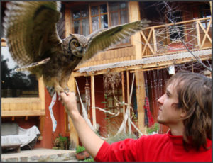 «Rehabilitamos para liberar, Educamos para proteger» | Refugio Animal ...